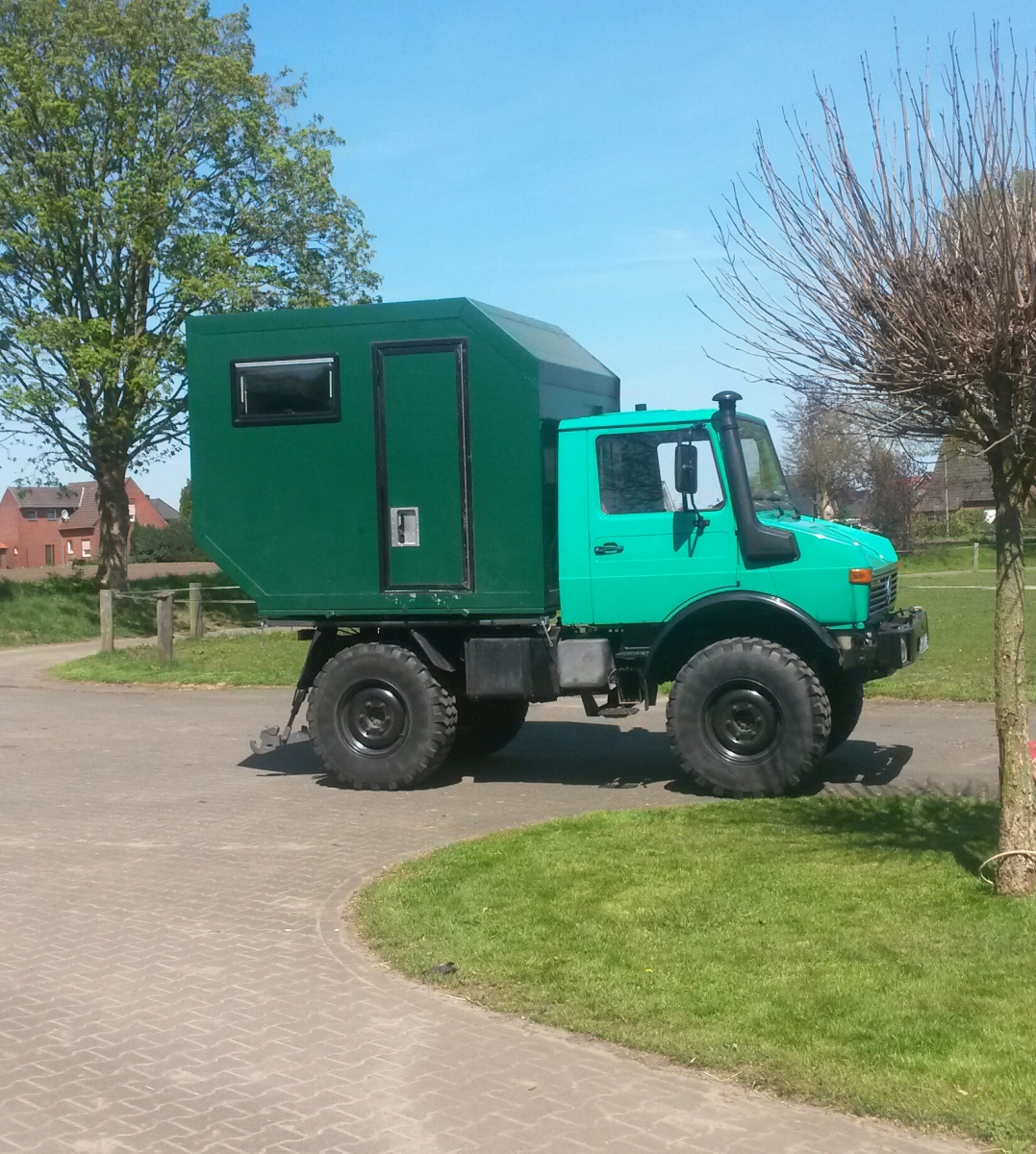 Timo ' s Turtle Mog (#377)